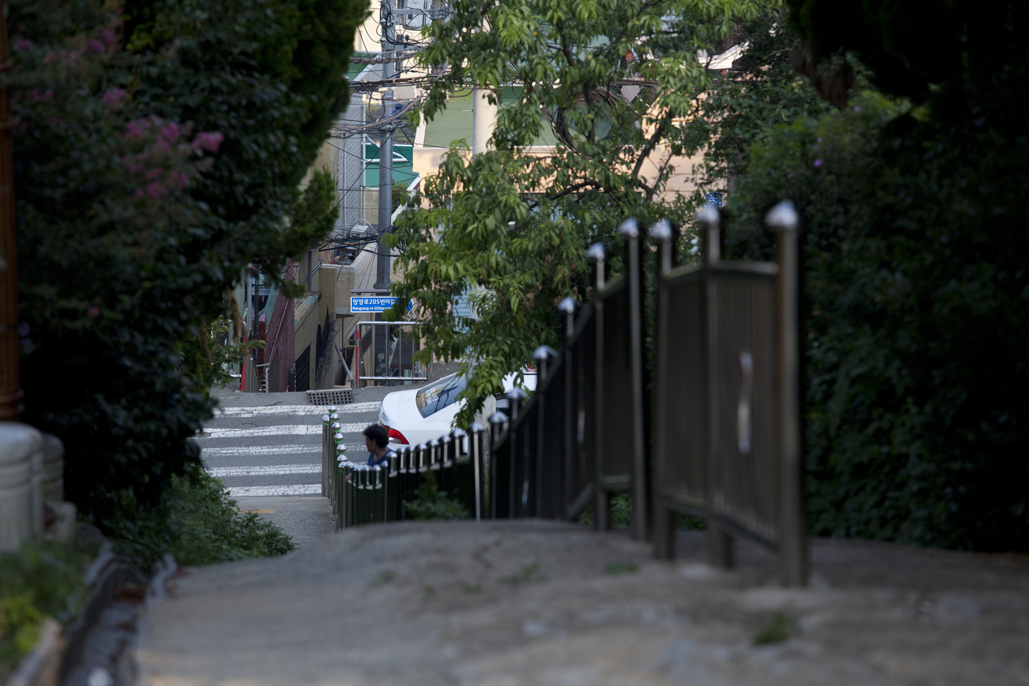 [사진] 부산 향기 - DPrime